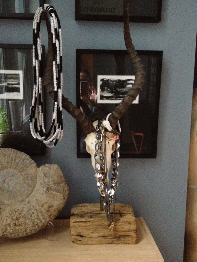 Unique and Fun Ways to Use Vintage Skulls as Decor